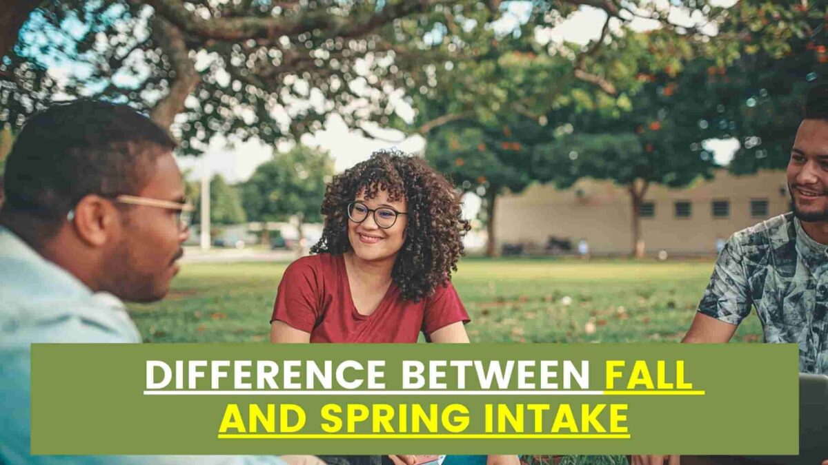 Difference Between Fall and Spring Intake | Which one is for you?
