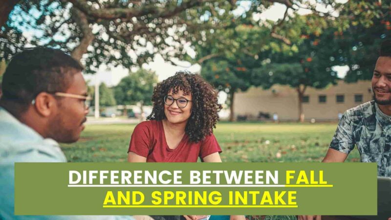 Difference Between Fall and Spring Intake | Which one is for you?